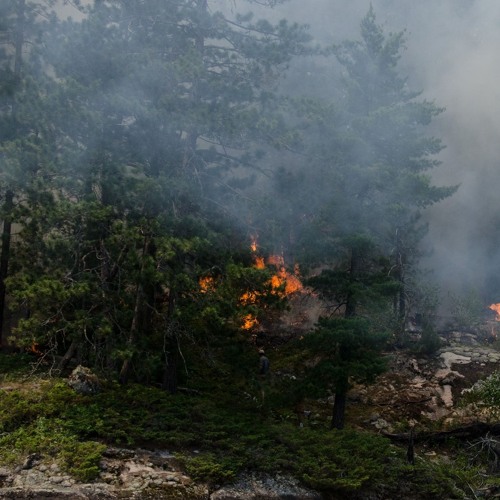 Stream episode Keep It Wild - Human Caused Wildfires by WTIP Boundary ...