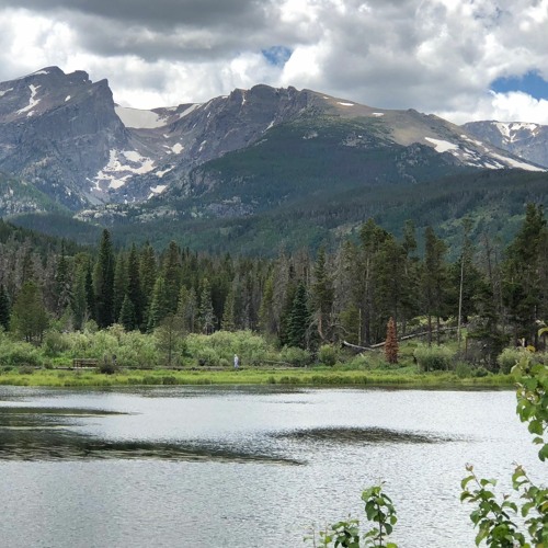 Stream Roaming the Ranch (11224 320 PM HD) by Ace Pounder | Listen ...