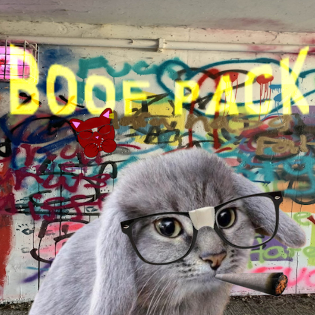 Stream Dork Shit | Listen to Boof Pack playlist online for free on ...