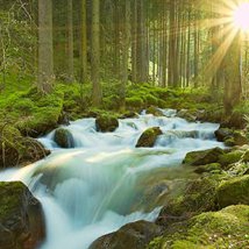 Stream Section 24 by Heber Frank | Listen online for free on SoundCloud