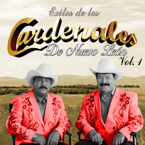 Stream Mi Complice by Cardenales De Nuevo León | Listen online for free ...