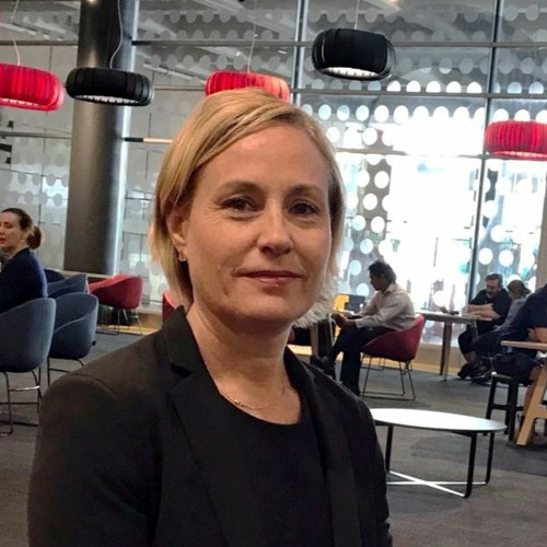 Stream Anti Strip Searches Action Plan for 2020 by Tim Brunero | Listen ...