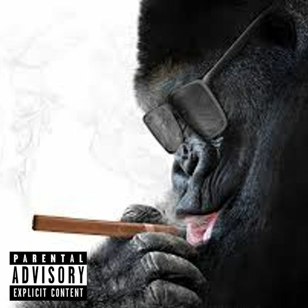 Listen to playlists featuring Intro - Morber's Morbadise by Black ...