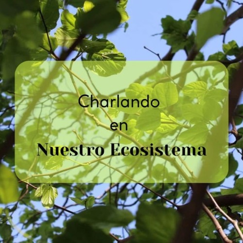 Stream episode Ecosistema de medios: ¿Quién controla a quién? by Leonel ... Stream episode Ecosistema de medios: ¿Quién controla a quién? by Leonel ...
