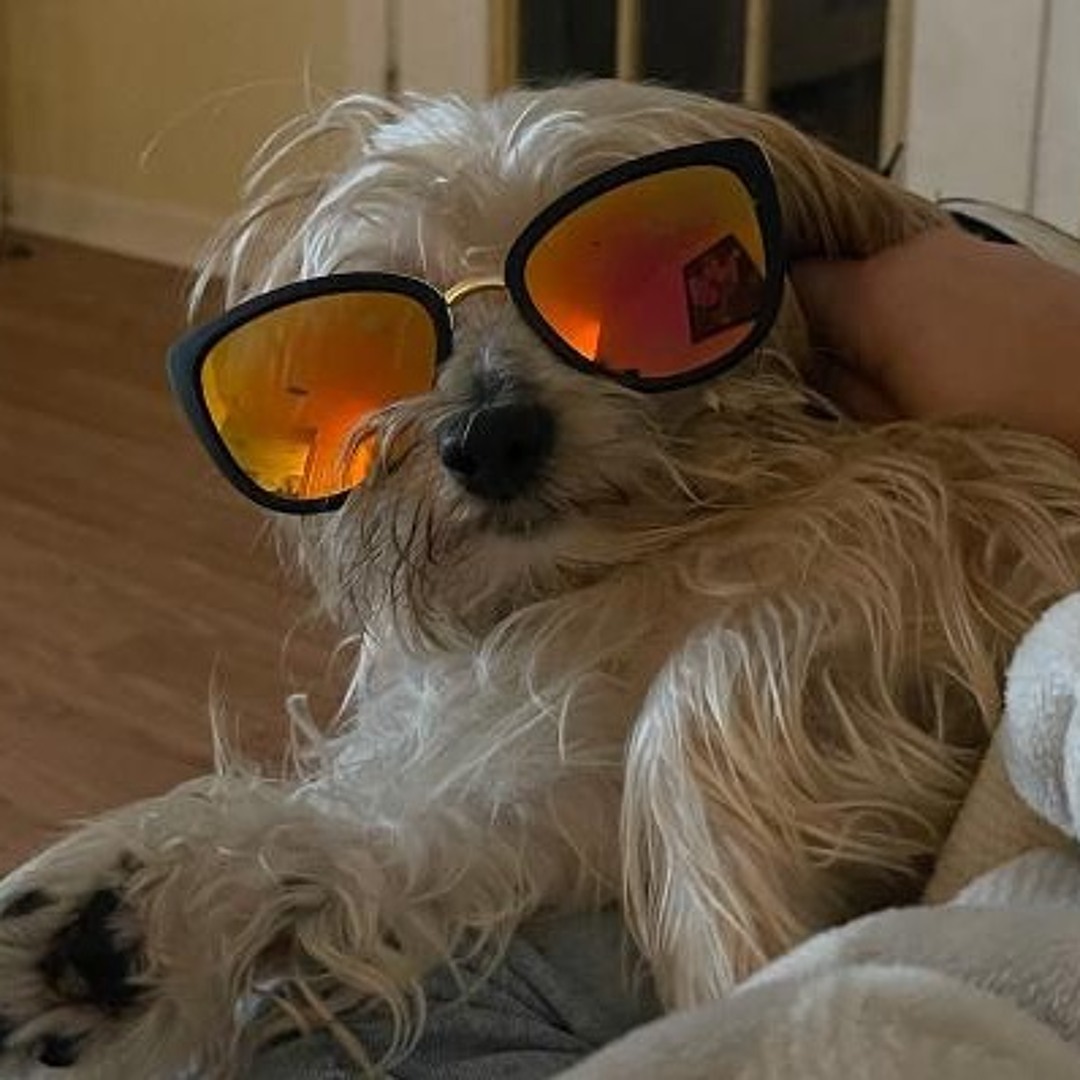 Stream EDM 3-Short Version by Cashstion | Listen online for free on ...