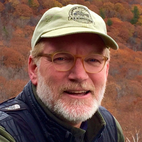 Stream episode Bruce Lanphear on how we’re failing to protect people ...