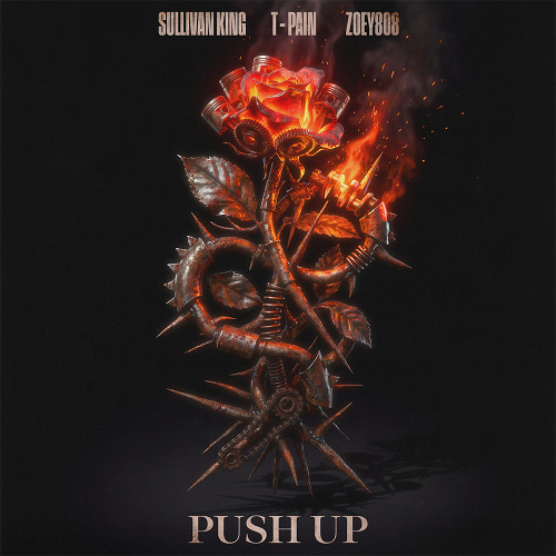 Stream Sullivan King x T-Pain x Zoey808 - Push Up by Sullivan King ...
