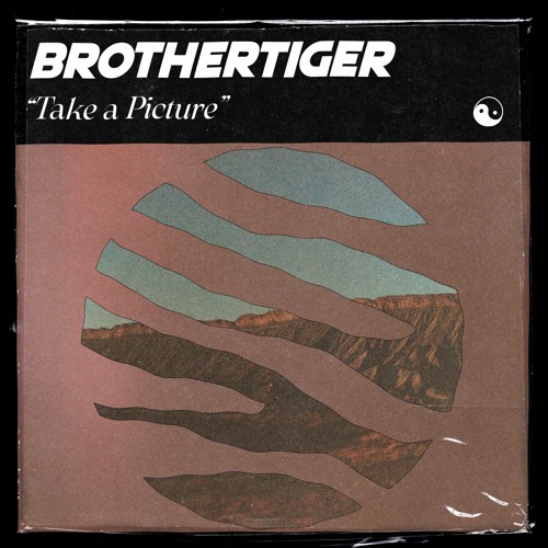 Stream Take a Picture by Brothertiger | Listen online for free on ...