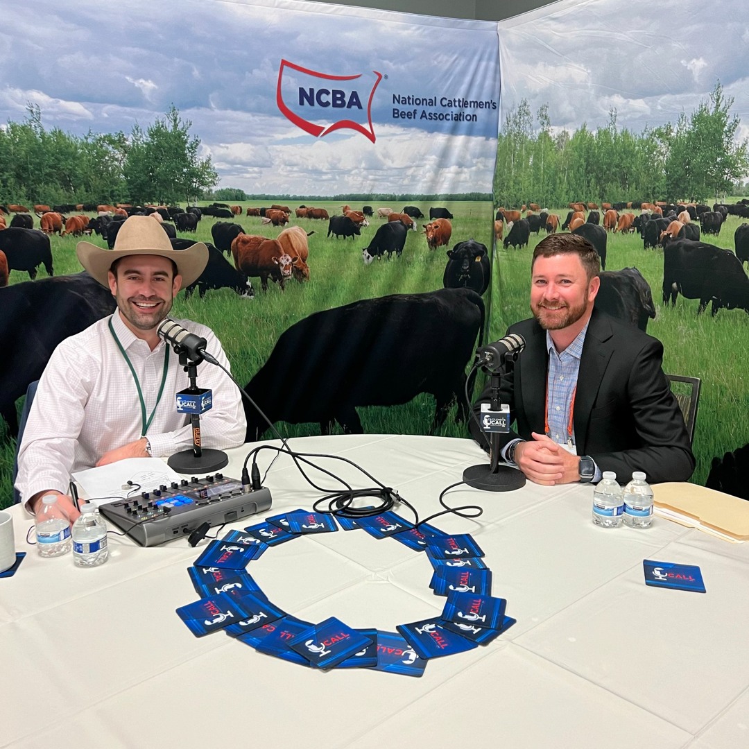 Stream When to Expect a Return to La Niña by Cattlemen's Call | Listen ...
