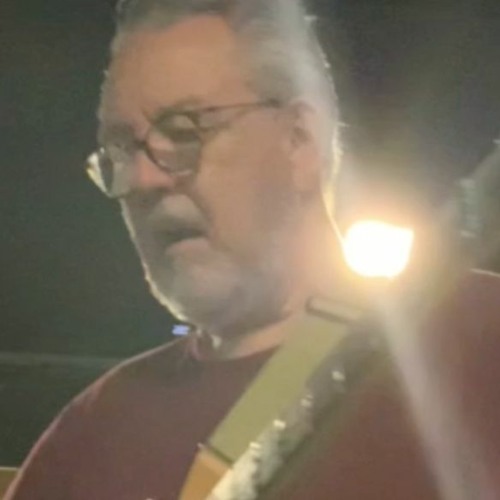 Stream Divin' Duck Blues by Bill Scobie Band | Listen online for free ...