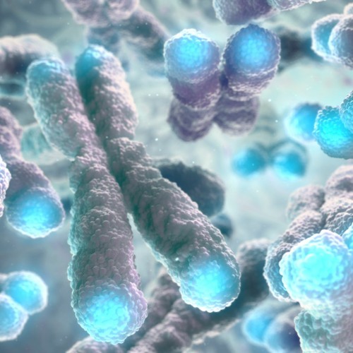 Stream Life Science Animations In UK by Get Animated Medical | Listen ...