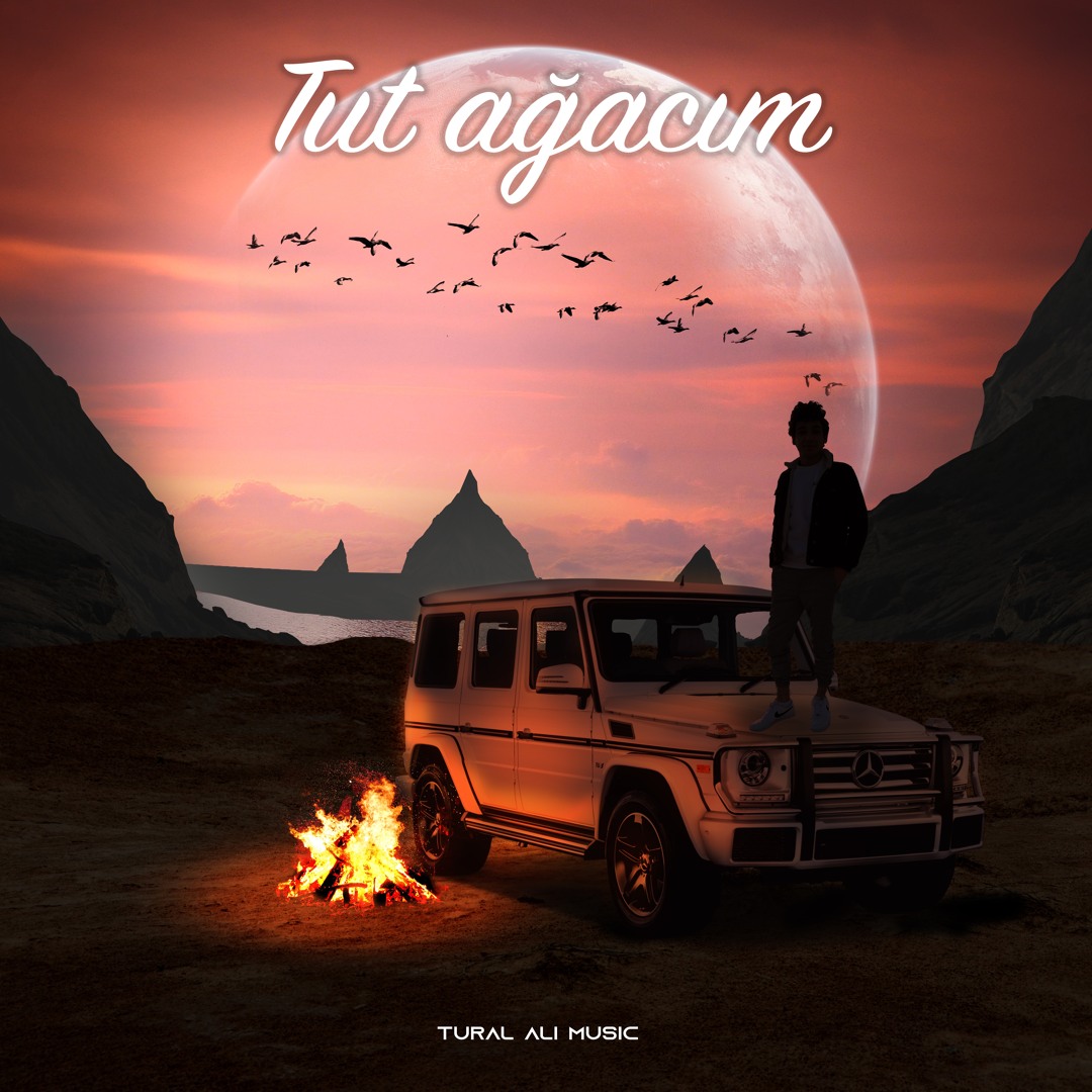 Stream Tural Ali - Tut Agacim (Aygun Beyler) by Tural Ali Music ...