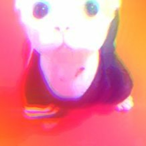 Stream bingus.png by goofy ahh capybara | Listen online for free on ...