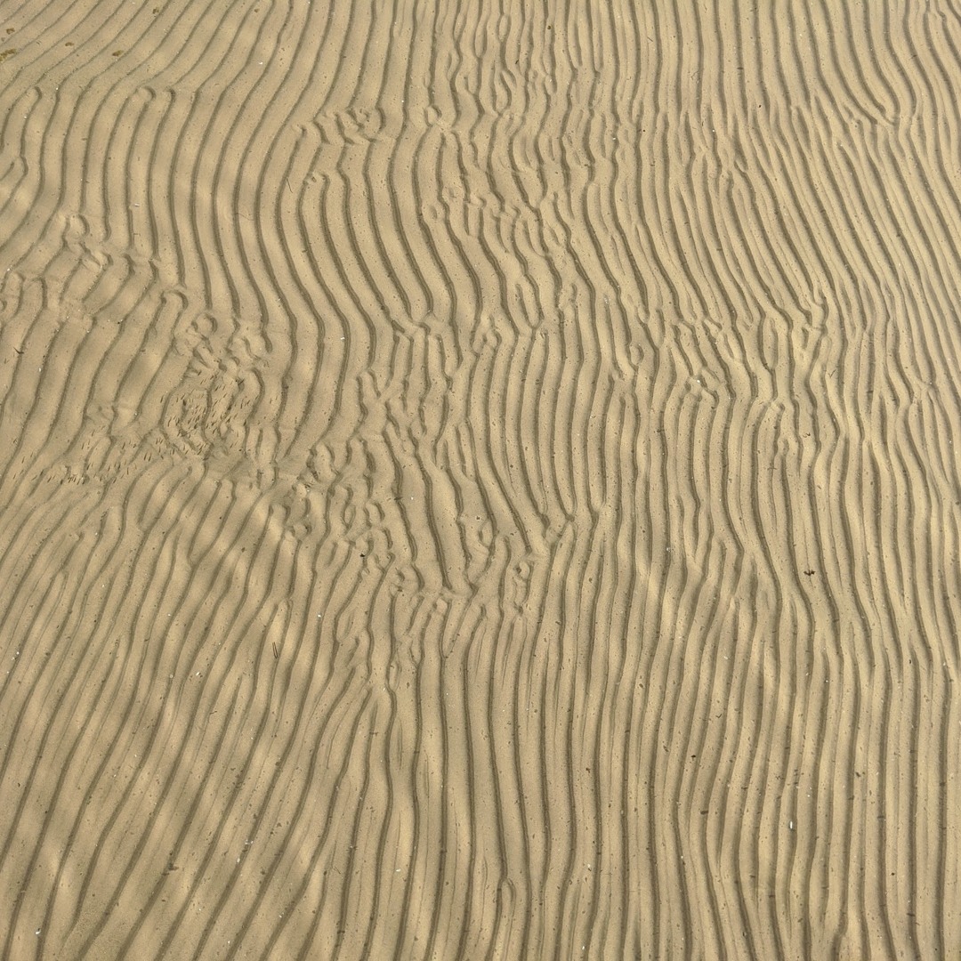 Stream Tiffany Pringle | Listen to Do not confuse distraction with ...