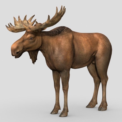 Stream Moose Gang Theme by MCcaves | Listen online for free on SoundCloud