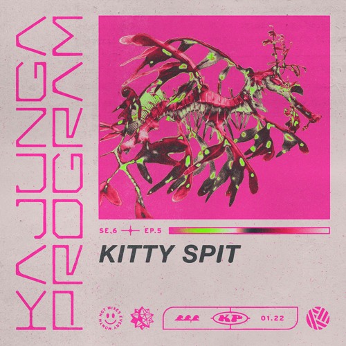 Stream Kajunga Program SE.6 EP.5 - Kitty Spit by Kajunga | Listen online for free on SoundCloud