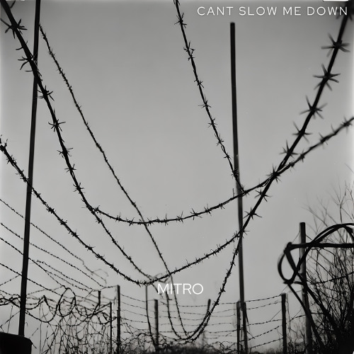 Stream Mitro - Cant Slow Me Down (FREE DL) by Mitro | Listen online for ...