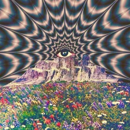 Acid Trip Tumblr
