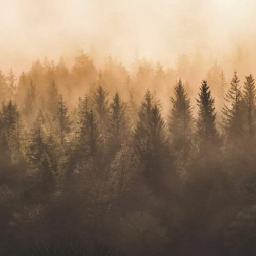 Stream Drake Type Beats form background 😹FREE DOWNLOAD by Cats | Listen ...