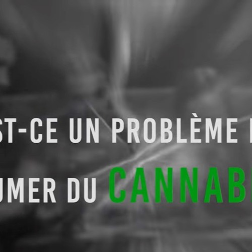 Stream éveillez Vous à La Sagesse Avec Sadhguru Est Ce Que Fumer Du