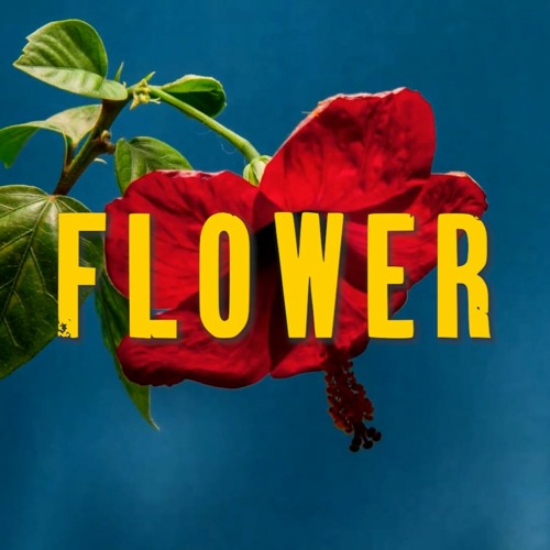 Stream Flower by 베이브(BAYV) | Listen online for free on SoundCloud