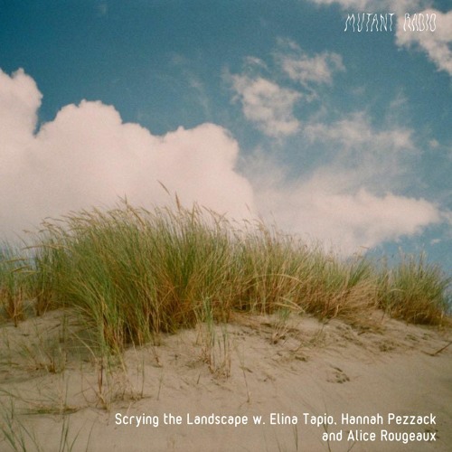 Listen to music albums featuring Scrying the Landscape w. Elina Tapio ...