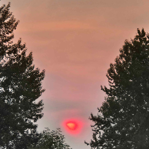 Stream Toxic Terry I (Beat by S Smack)2 by Mercury Waitz | Listen ...