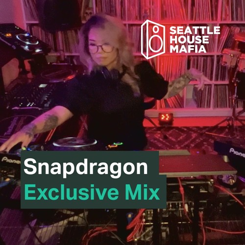 Stream Exclusive Mix w/ Seattle House Mafia May 2023 by Snapdragon ...