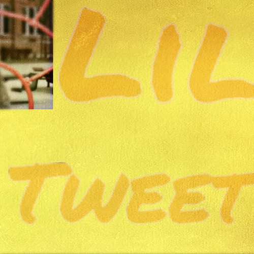 Stream Lil Tweet The Box Remix by Lil Tweet | Listen online for free on ...