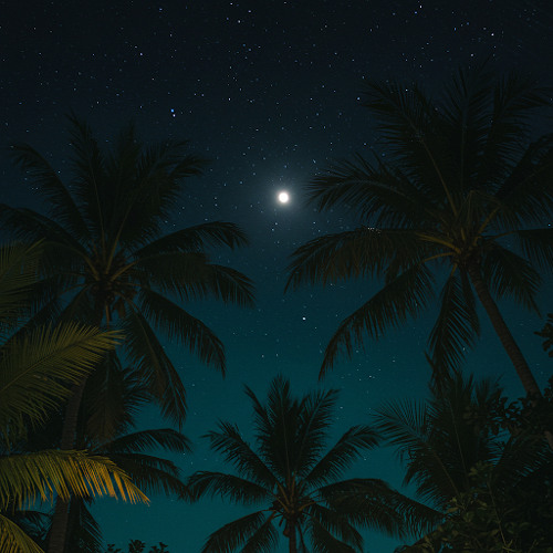 Stream Midnight Palms by MUSTANG DRIVE | Listen online for free on SoundCloud