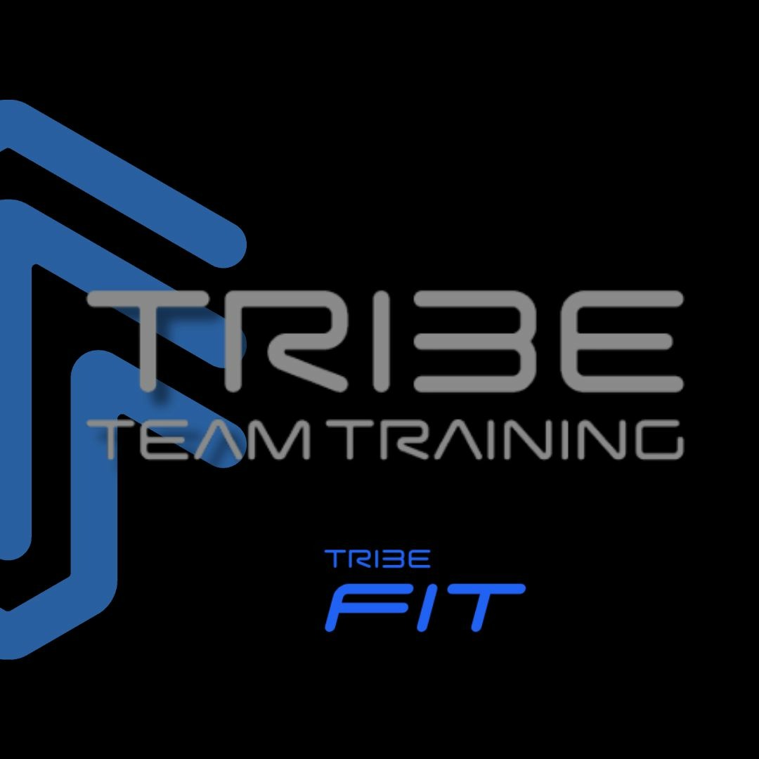 Stream Tribe Team Training Official | Listen to TribeFIT Season 1 ...