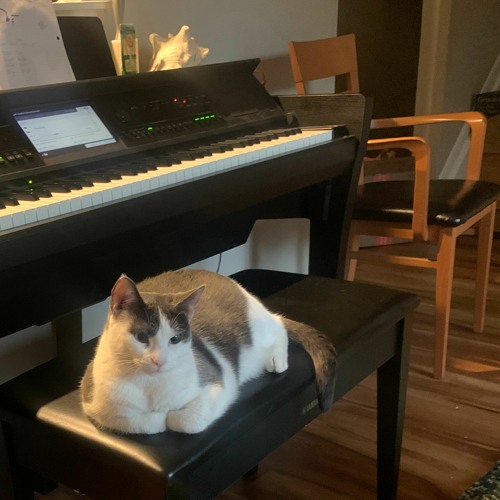 Stream Tim's Theme (lefty chorus version) by Safe-T-inspector | Listen ...