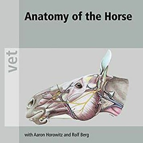 Stream ⚡️PDF⚡️ BOOk Anatomy of the Horse from Binyagasrukkanna | Listen ...