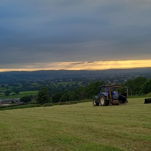 Stream Harri Wynne | Listen to Tractor Tunes playlist online for free ...