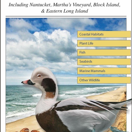 Stream episode [READ] A Field Guide to Cape Cod: Including Nantucket ...