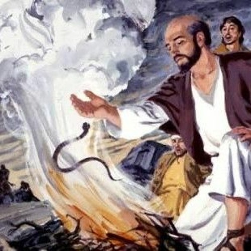 Stream Paul was bitten by a poisonous snake (Acts 27-28) from S4prayer3 ...