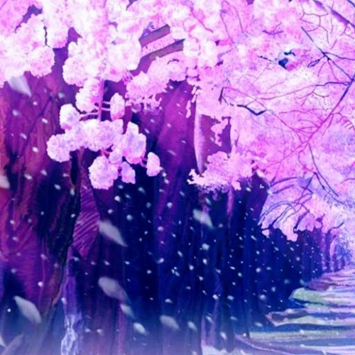 Stream Different Blooms w/ Zack Reyes by Zaki Chillout | Listen online ...