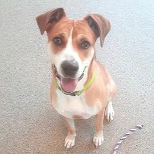 Stream Maggie Helped With This One Too! by Jake Todd | Listen online ...