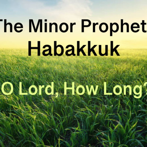 Stream O Lord, How Long - Habakkuk by NewSong Church | Listen online ...