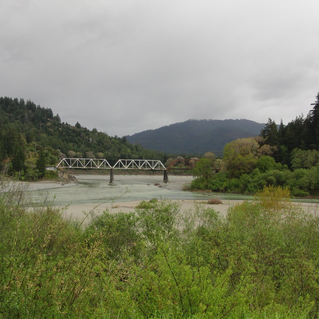 Stream i dont like it here by Vinny Trucks | Listen online for free on ...