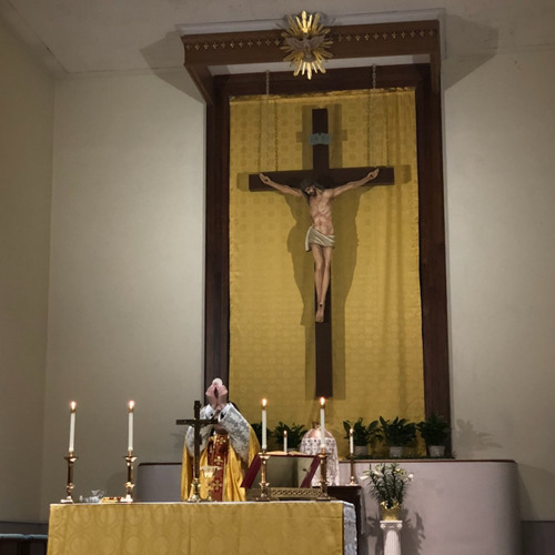 Stream Homily: 21st Sunday in Ordinary Time (2022) by St. Francis Catholic: Homilies and ...