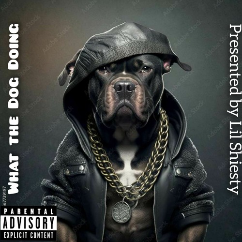 Stream Lil Shiesty - What the Dog Doing by LilShiesty00 | Listen online ...