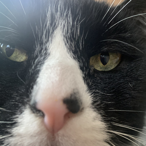 Stream Ken Carson - SS(With intro and better) by brod.kots | Listen ...