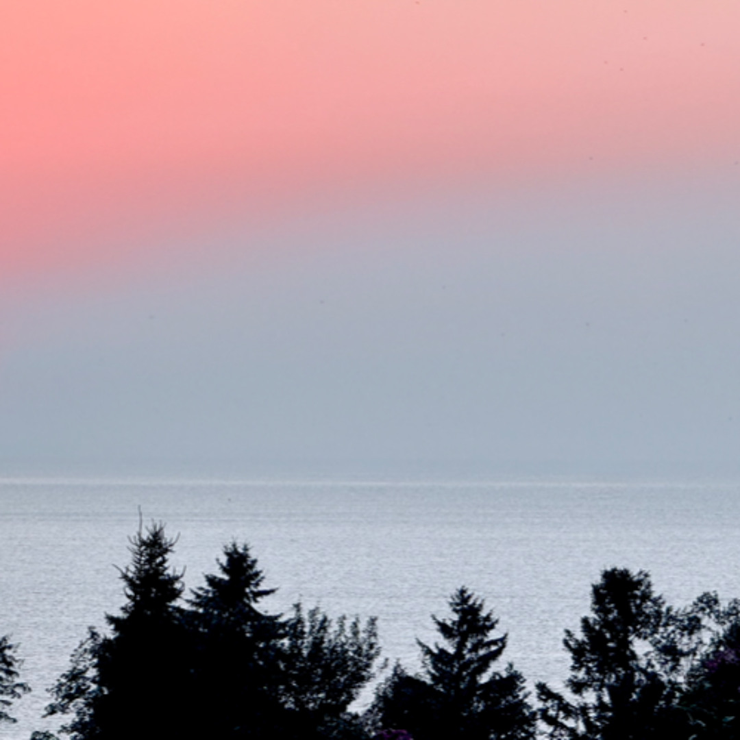 Stream Tackling Difficult Stories with Debra Fitzgerald by Door County ...