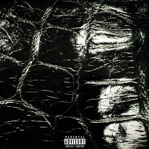 Stream Birkin by Ben Hook | Listen online for free on SoundCloud