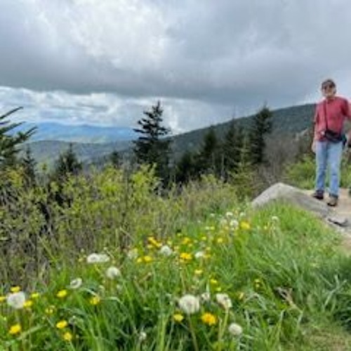 Celtic Spring - Listen to music