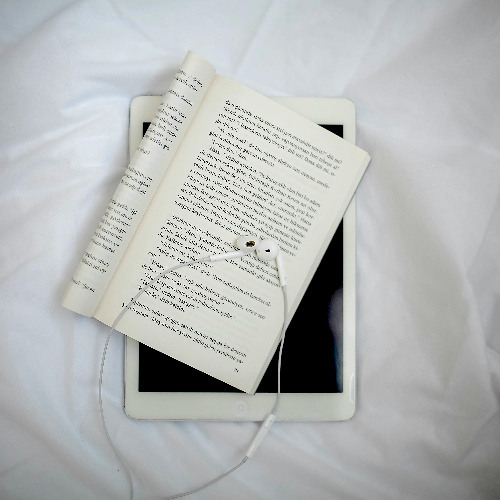 Stream Mockingjay by Suzanne Collins [Audiobook] [Review] from Most ...