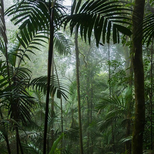 Stream Sad Rasta Man by GIECproduttore | Listen online for free on ...