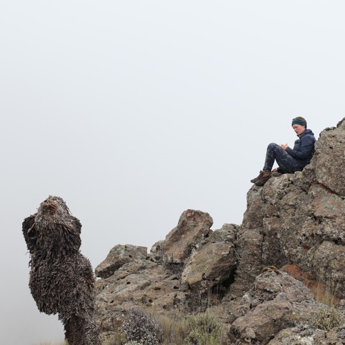 Stream Holy River by Savannah Clancy | Listen online for free on SoundCloud