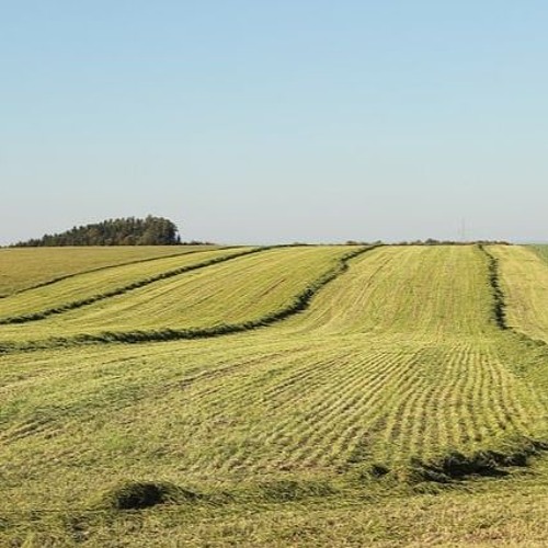 Stream Ag Tech: Streamlining The Feed Industry Through Transparent ...